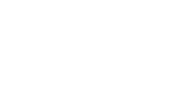 HS Financial Group, LLC - Receivables Management Solution